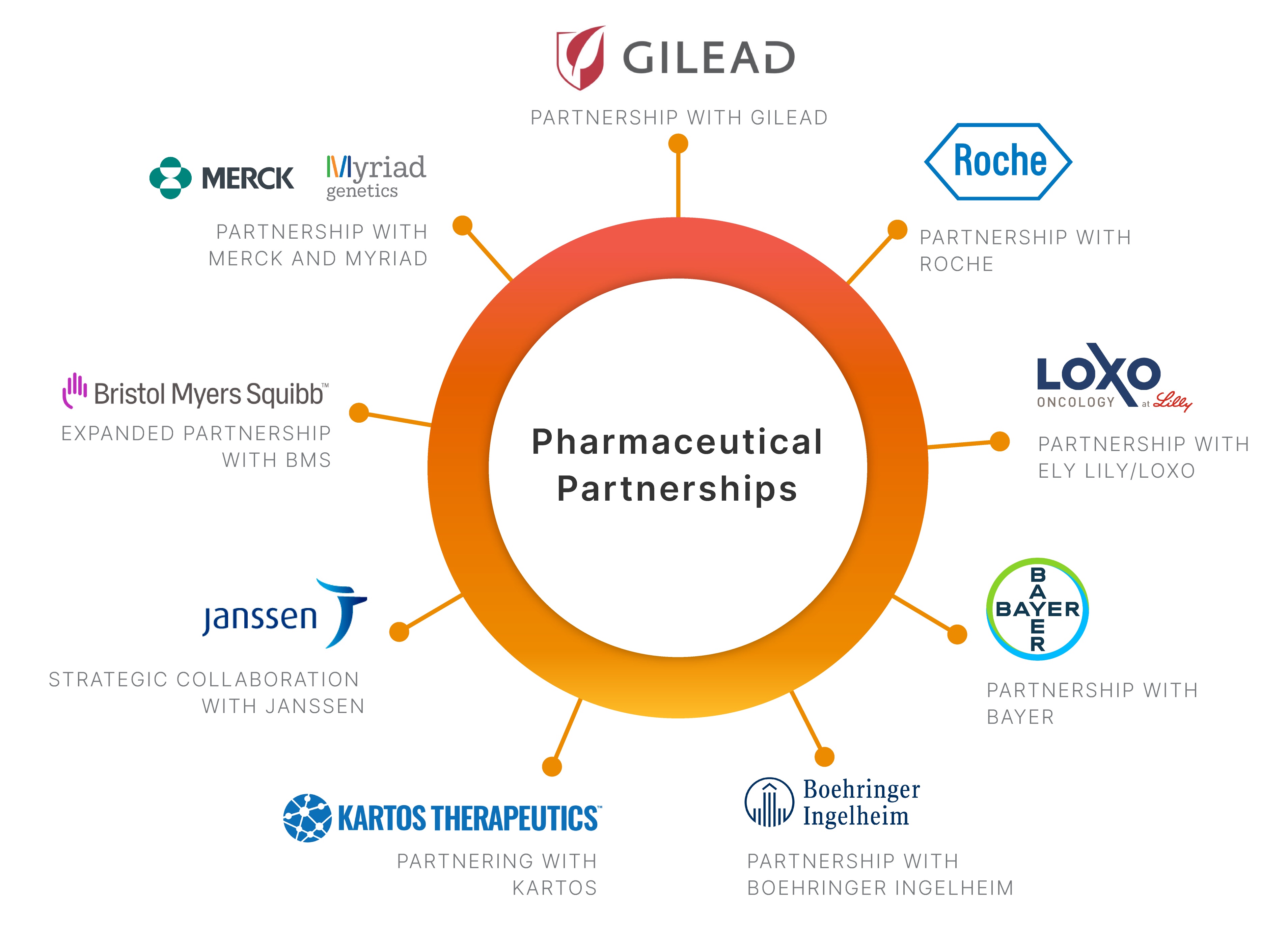 Cancer Companion Diagnostic (CDx) Partnerships