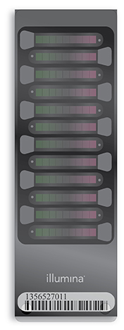 Images | Illumina images for general use