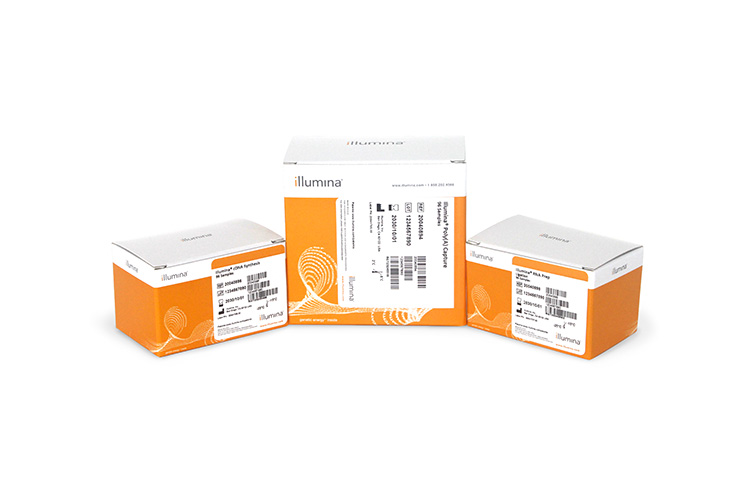 Images | Illumina images for general use