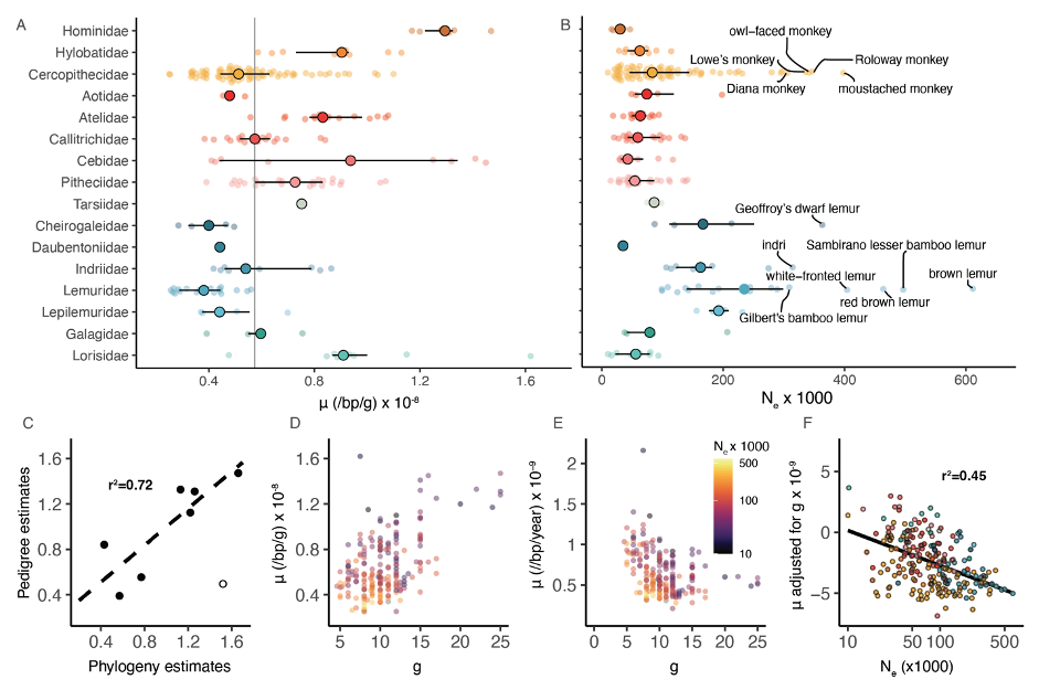 A deep catalog of whole genome diversity from 233 primate species